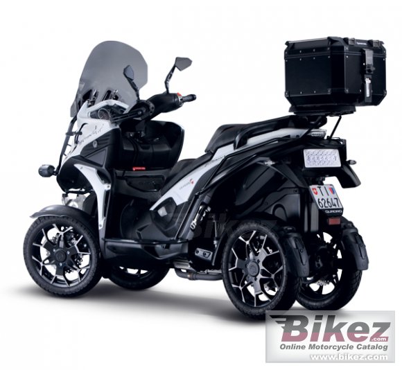 Quadro 4 Steinbock gallery